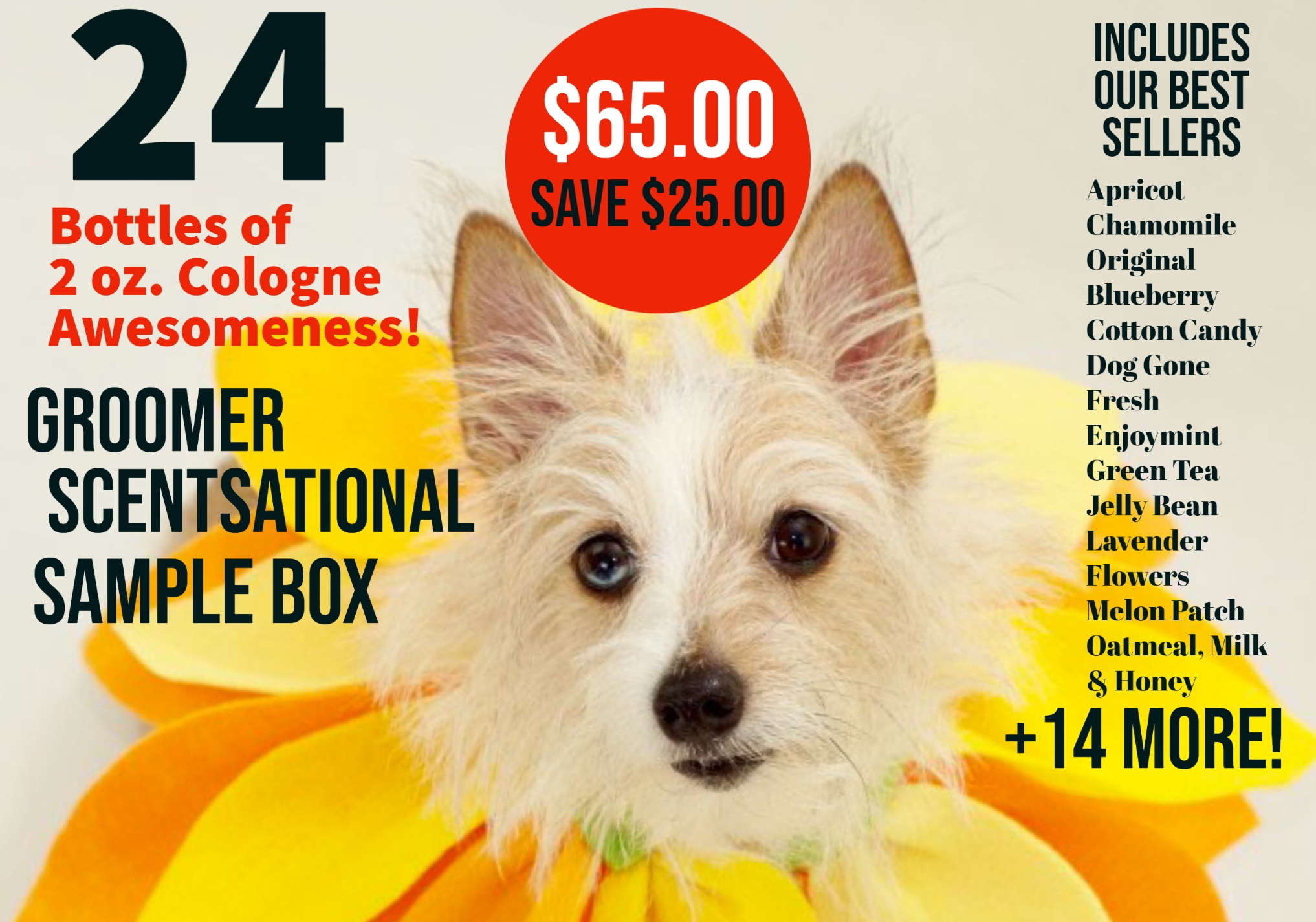 Cologne Scentsational Scent Box | Showseason®